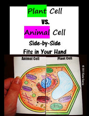 Cells – Mrs. G's Classroom